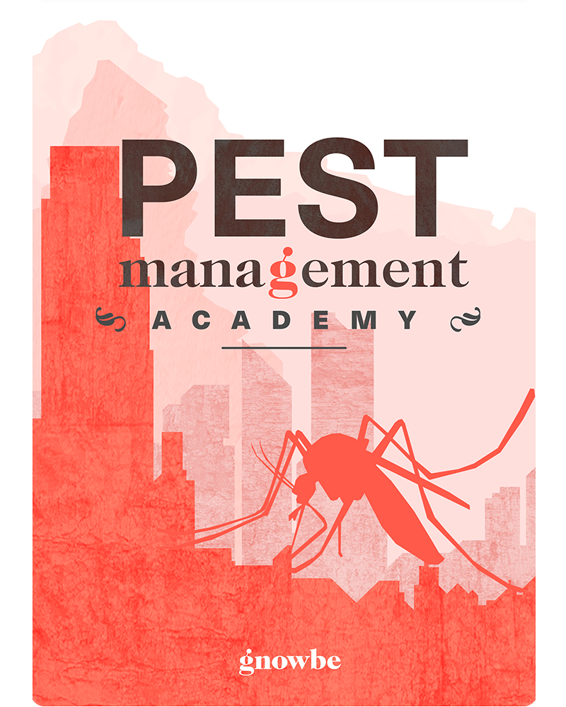 Home (Copy) — GnowbeLearn™