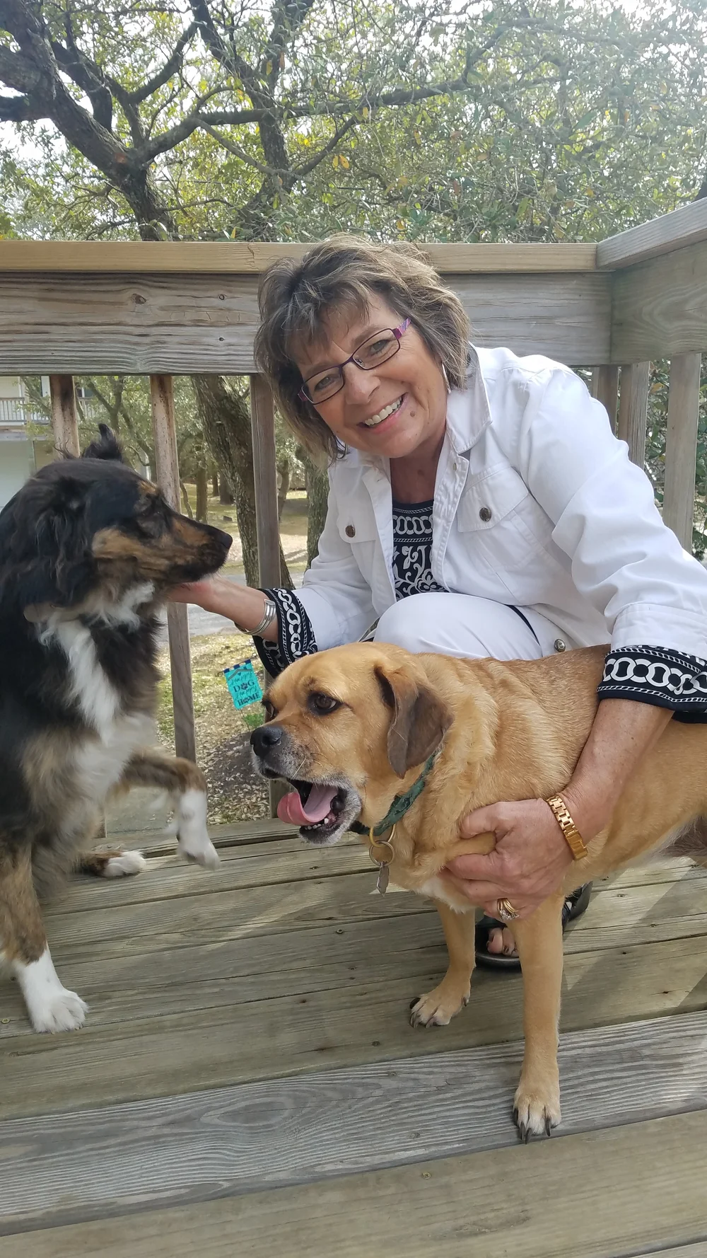 Outer Banks Veterinary Hospital