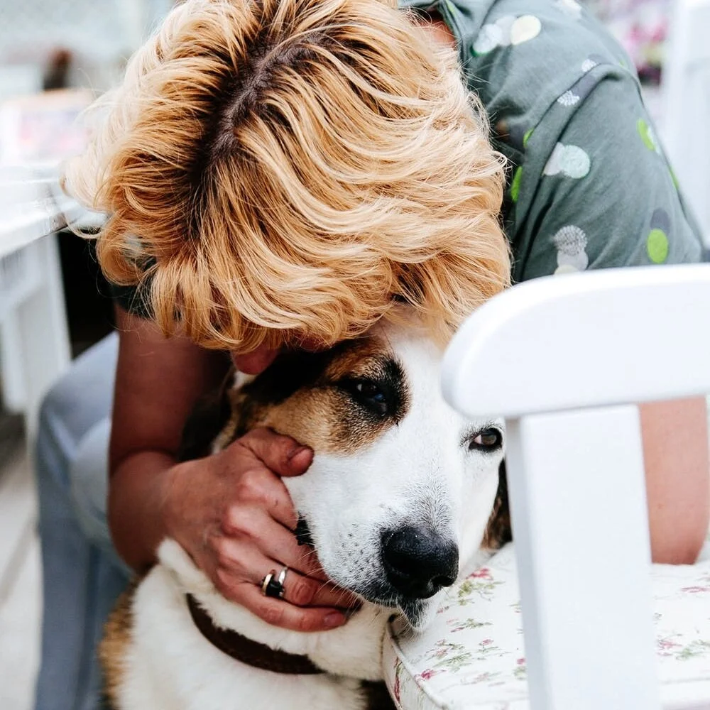 Outer Banks Veterinary Hospital