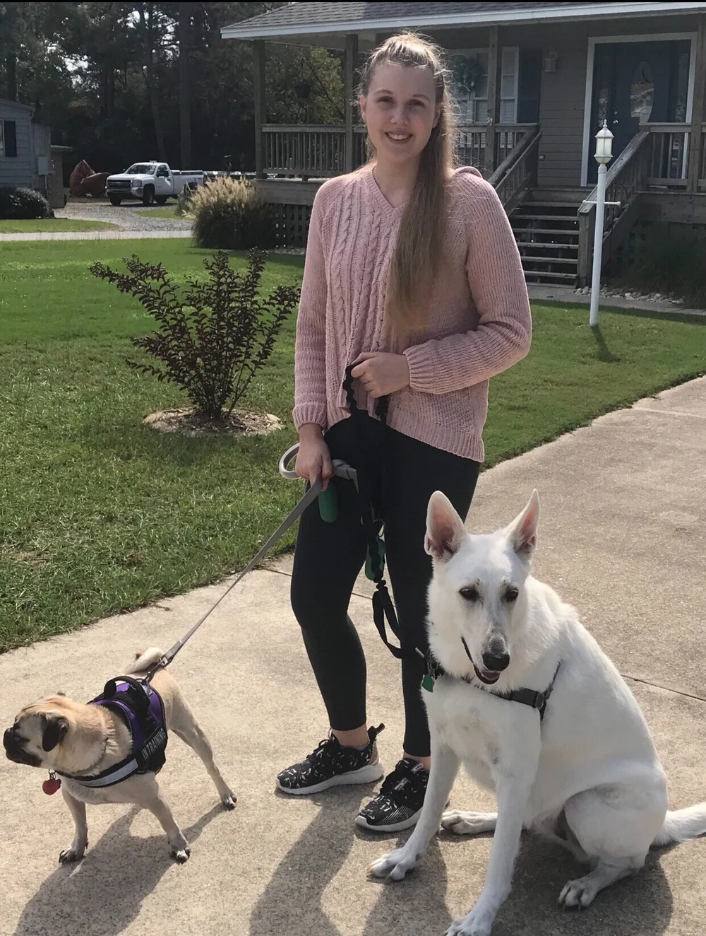 OUR TEAM — Outer Banks Veterinary Hospital