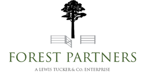 Forest Partners — Lewis Tucker & Co