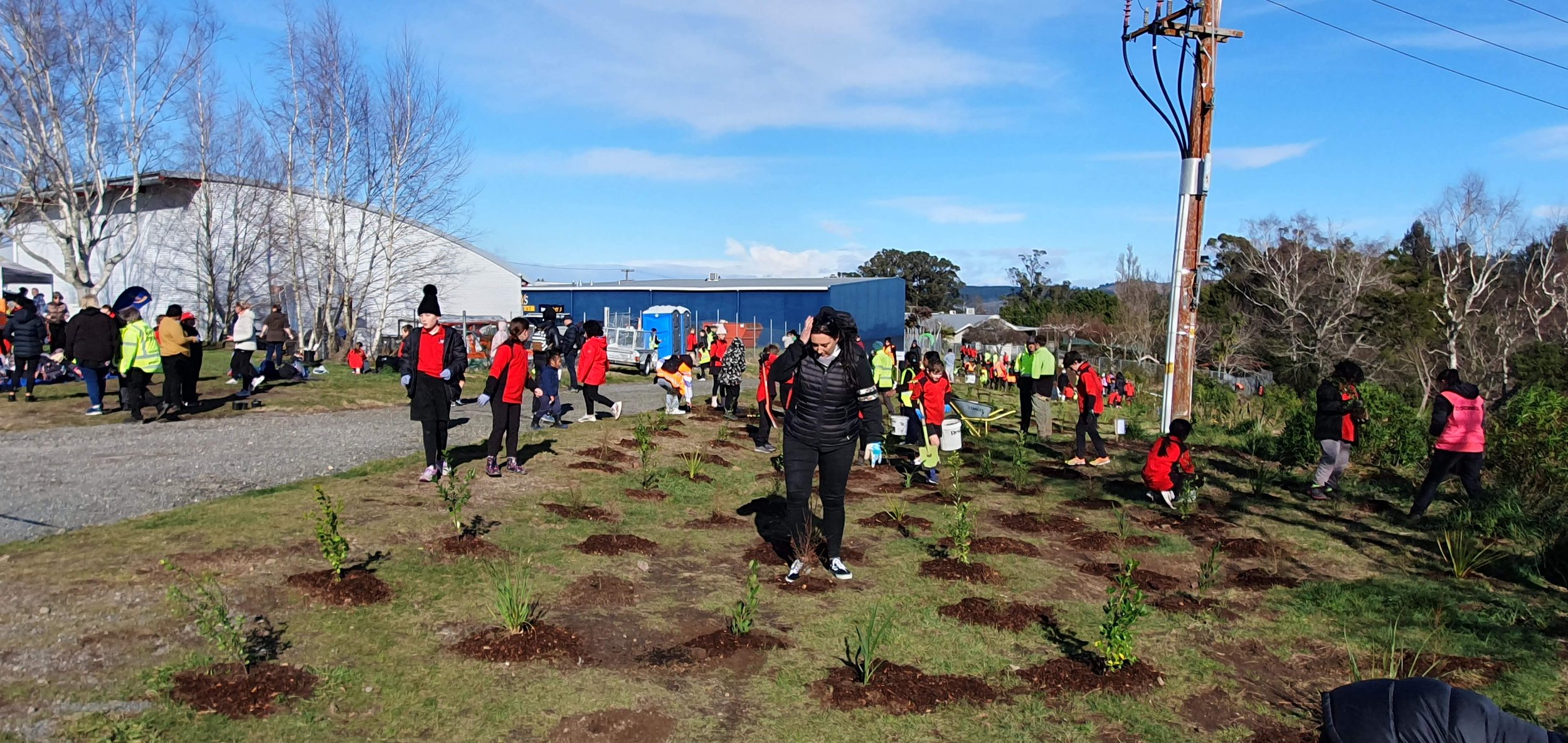 2023 planting season 🌳 — Greening Taupo
