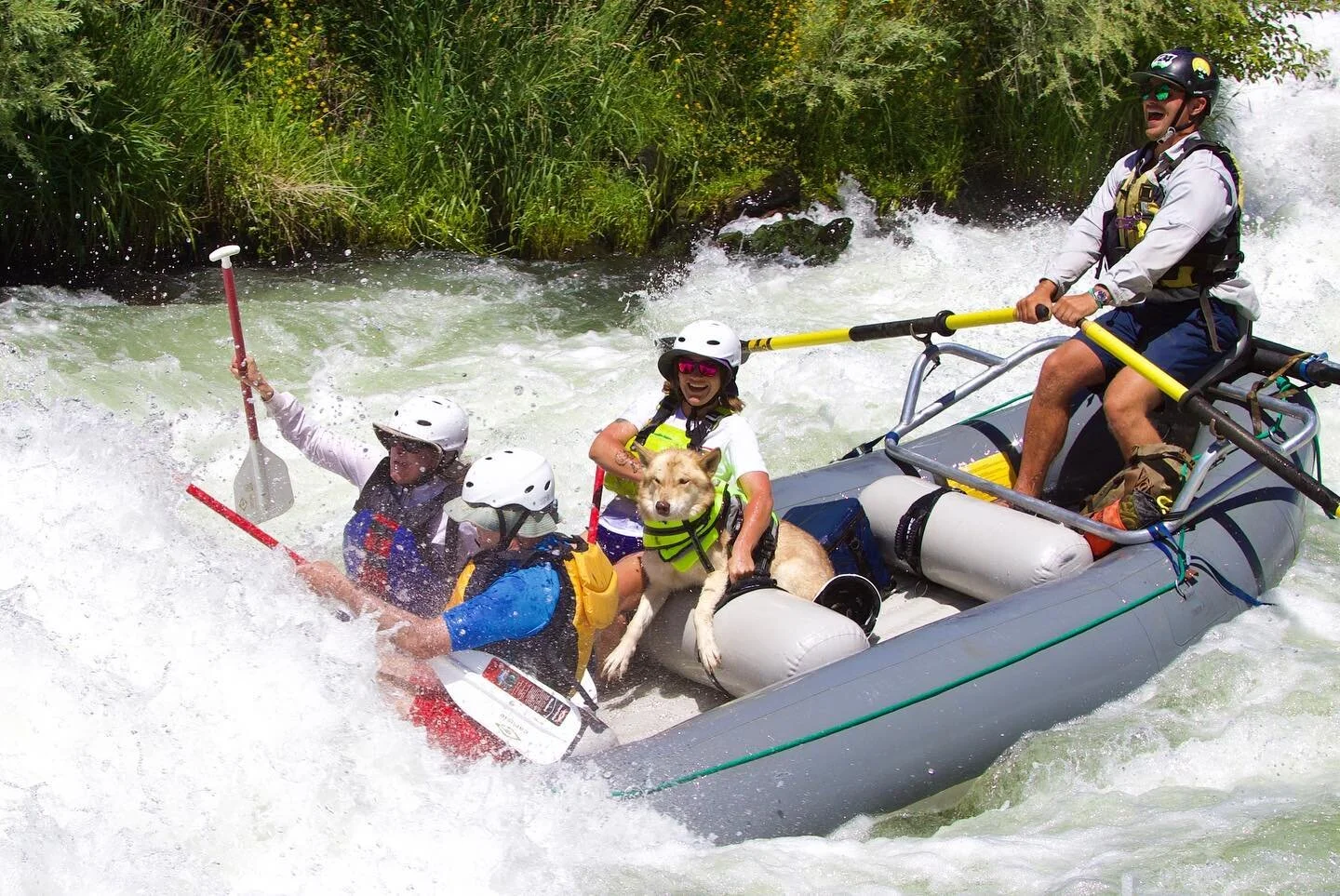 Jefferson State Outfitters - Rogue River Rafting & Fishing