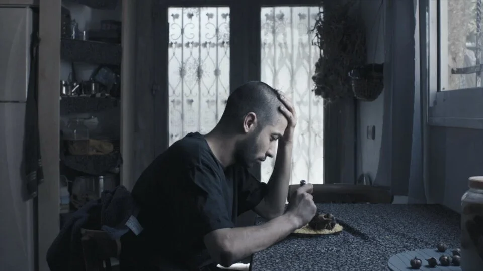 PFP Films — Palestine Film Institute