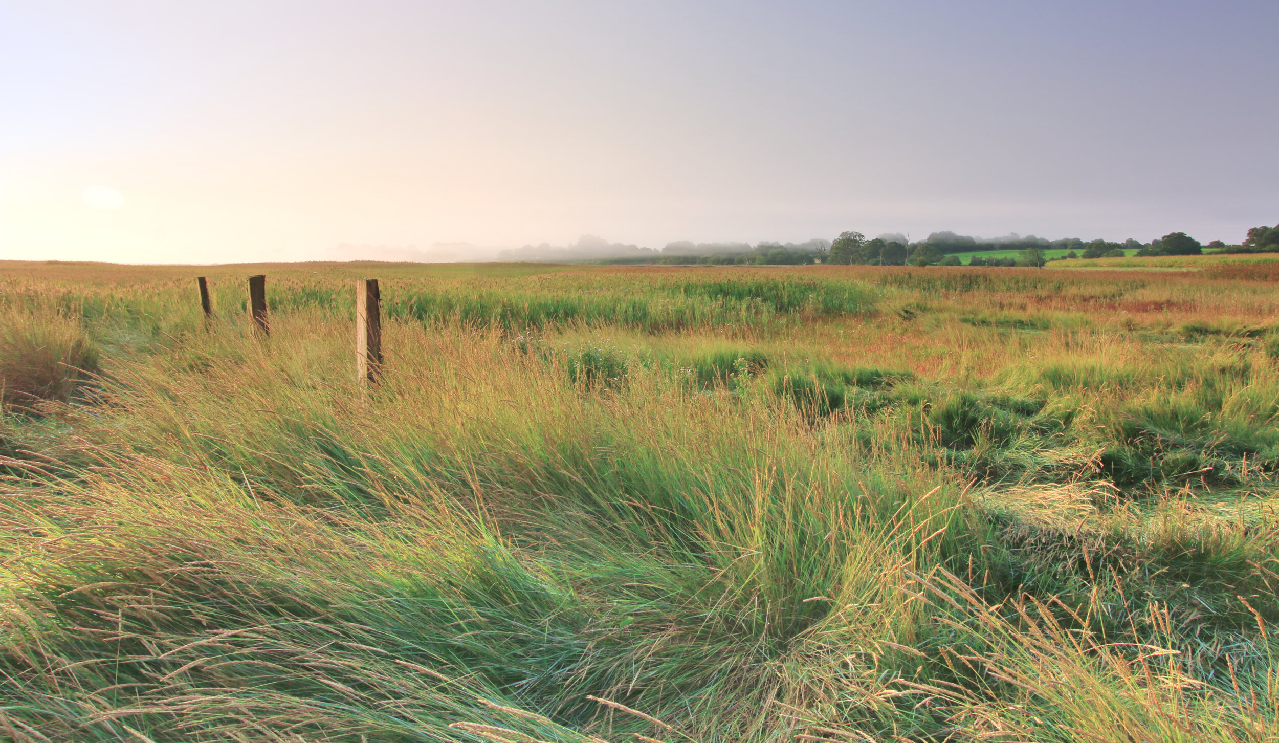 About Cindy — Cindy Engel