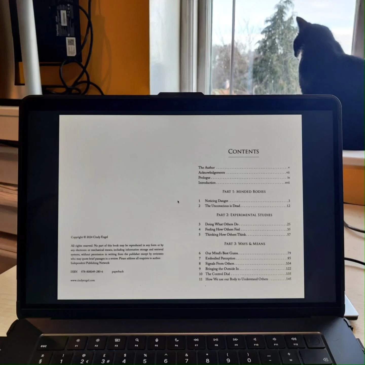 Contact — Cindy Engel