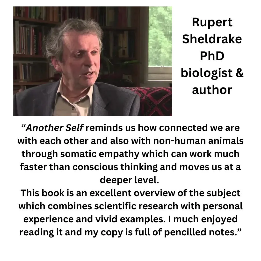 Somatic empathy — Cindy Engel