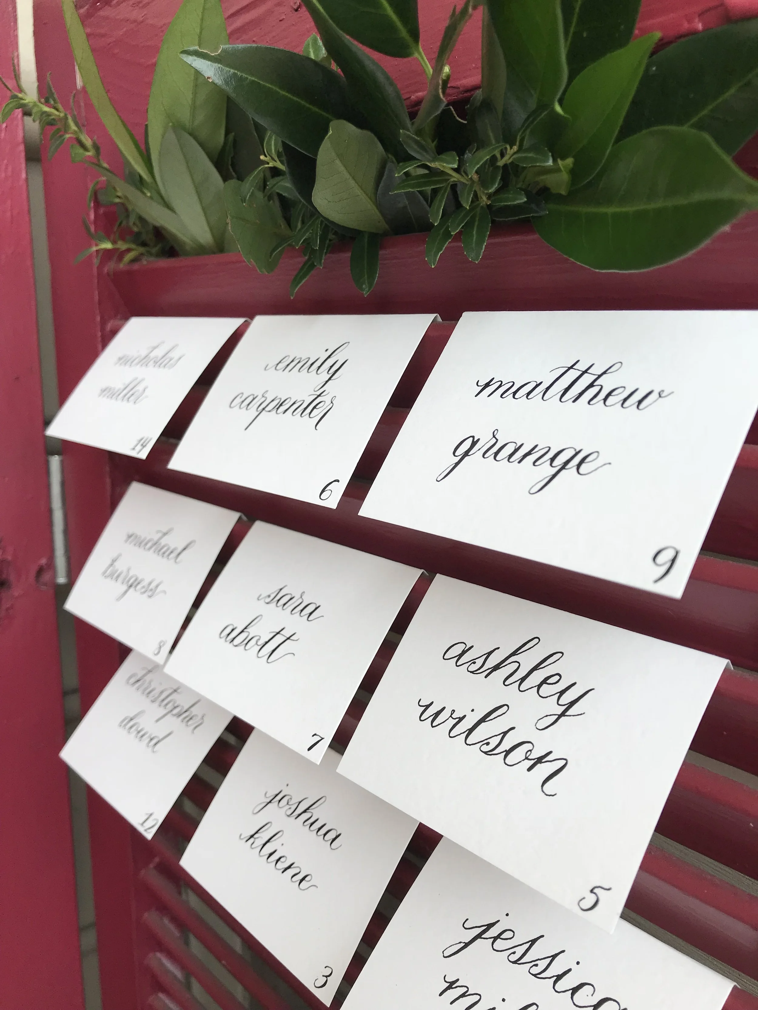 Karen Lane Calligraphy