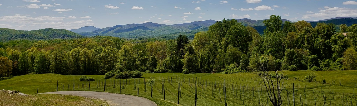 Little Washington Winery