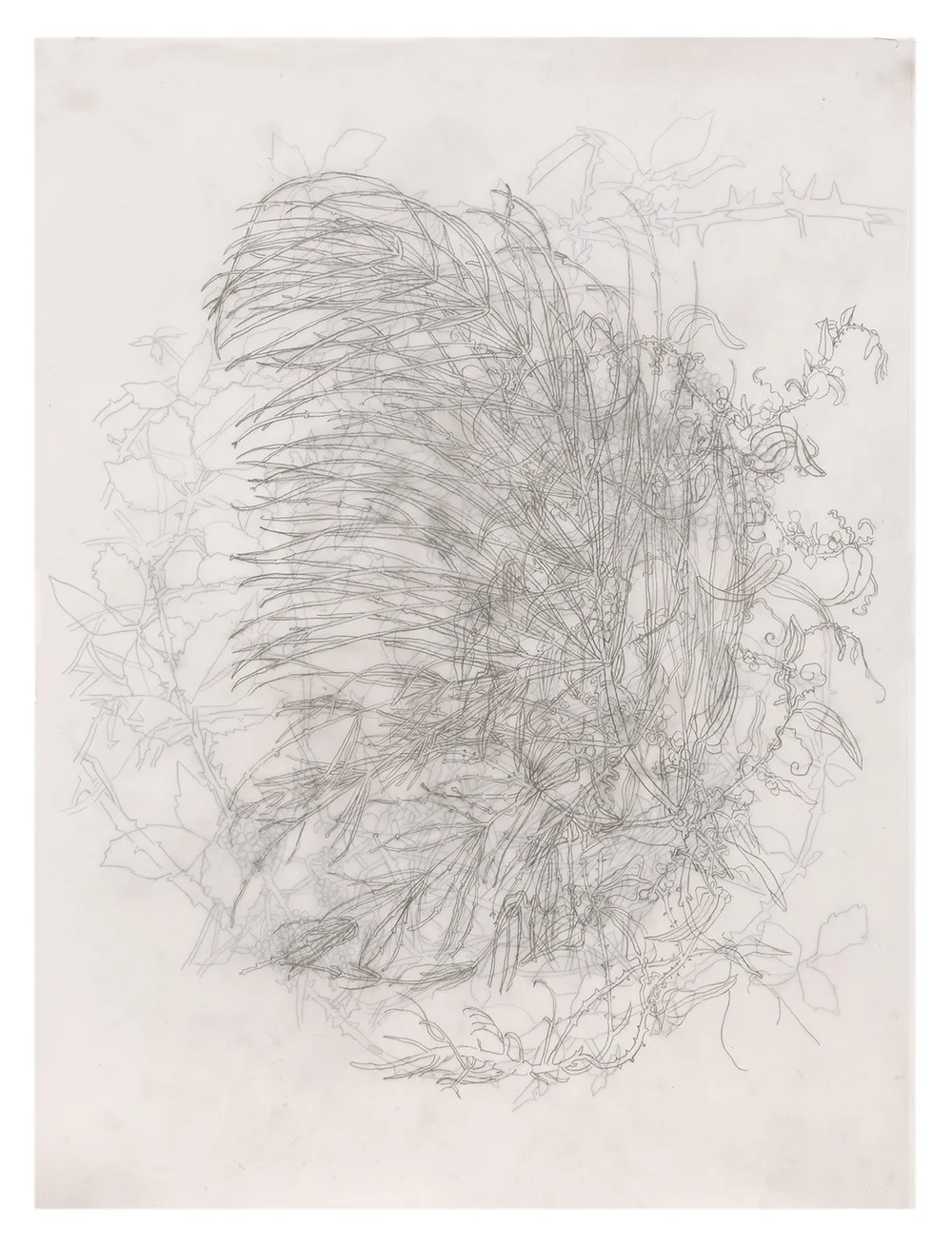 drawings-2021-2018 — Gail Grinnell