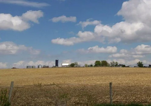 Families on the Farm and The Mighty Fork! — Women, Food and Agriculture ...