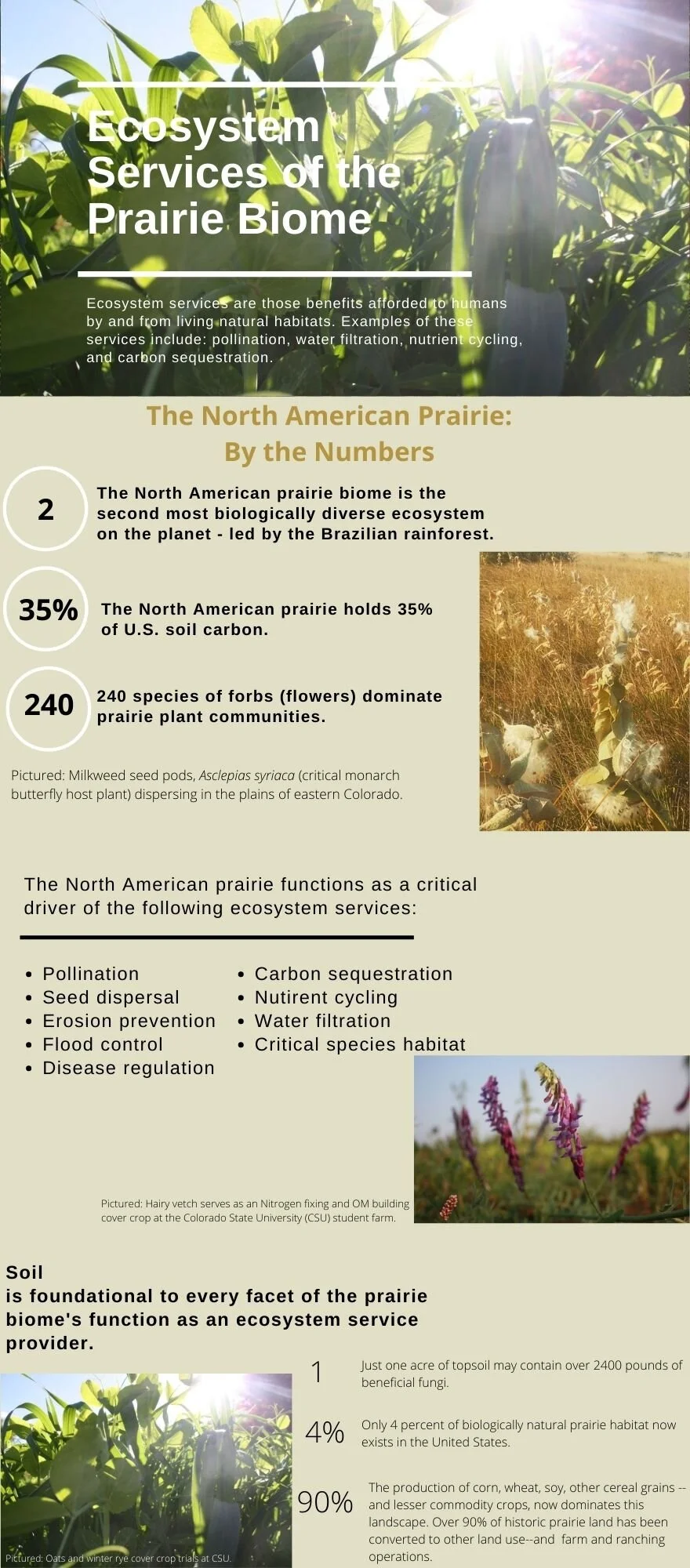 Prairie Ecology — Women, Food and Agriculture Network