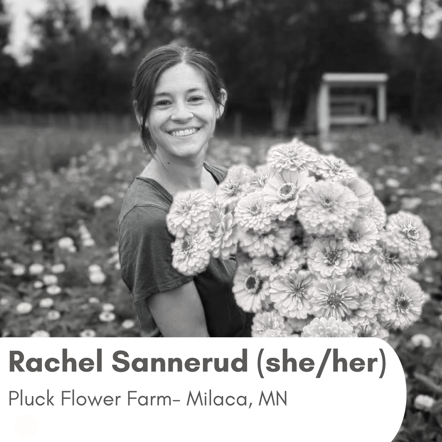 2026 HOP Mentor Profiles — Women, Food and Agriculture Network