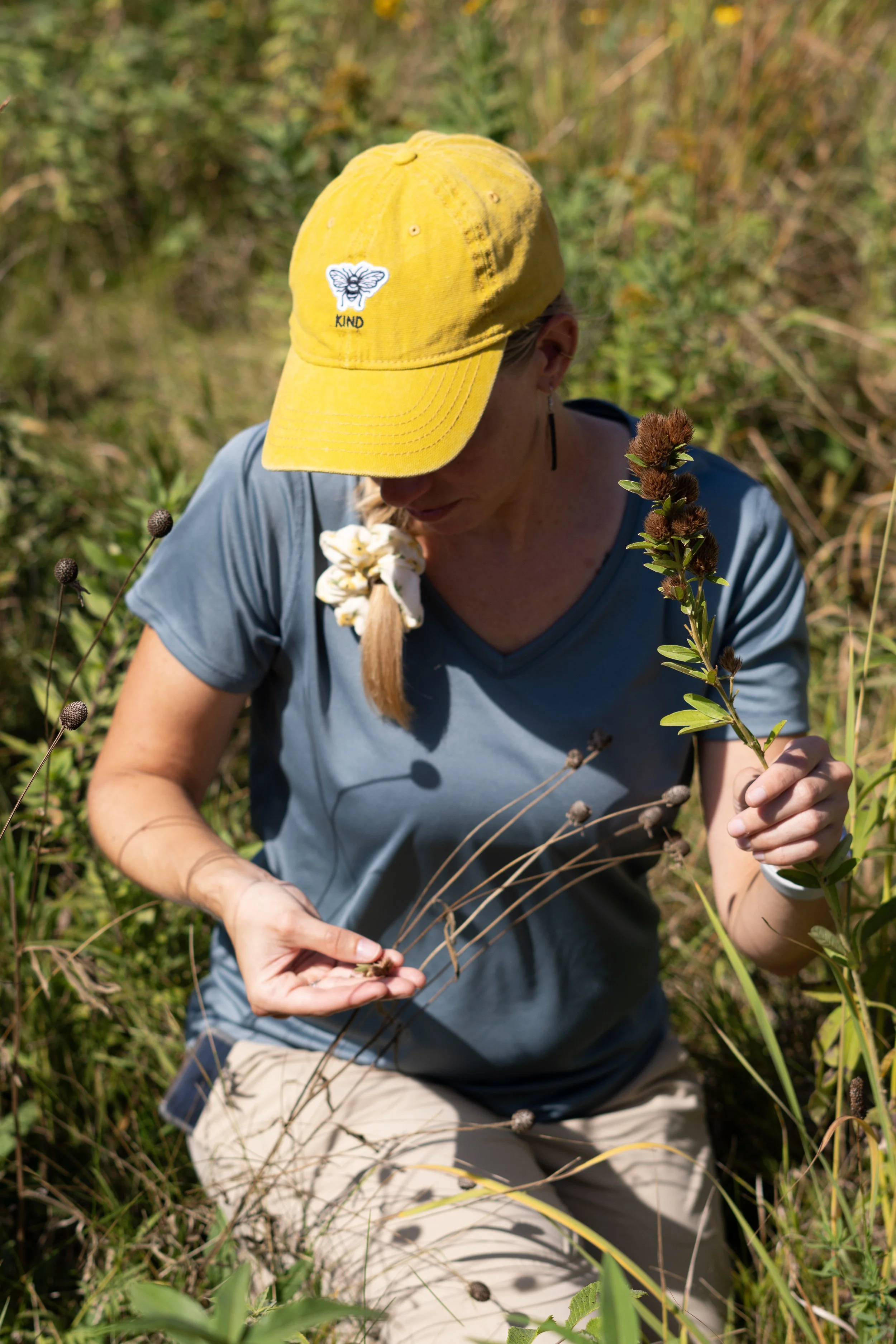 Seeding resilience: listening to the land to inform conservation ...