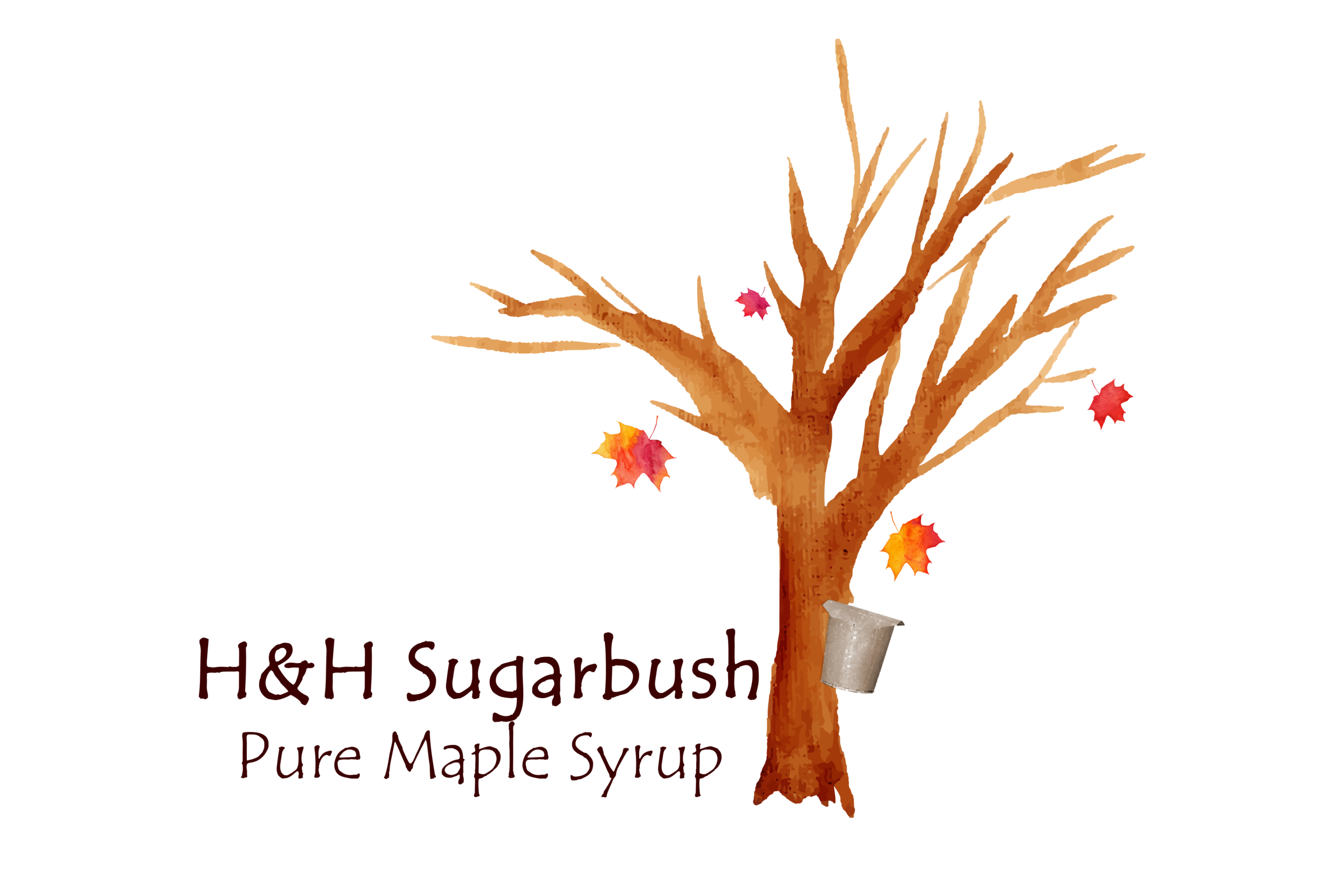 Tree Sap Clipart