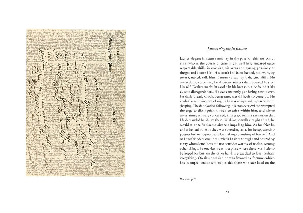 Robert Walser's Microscripts. — alina Ştefănescu