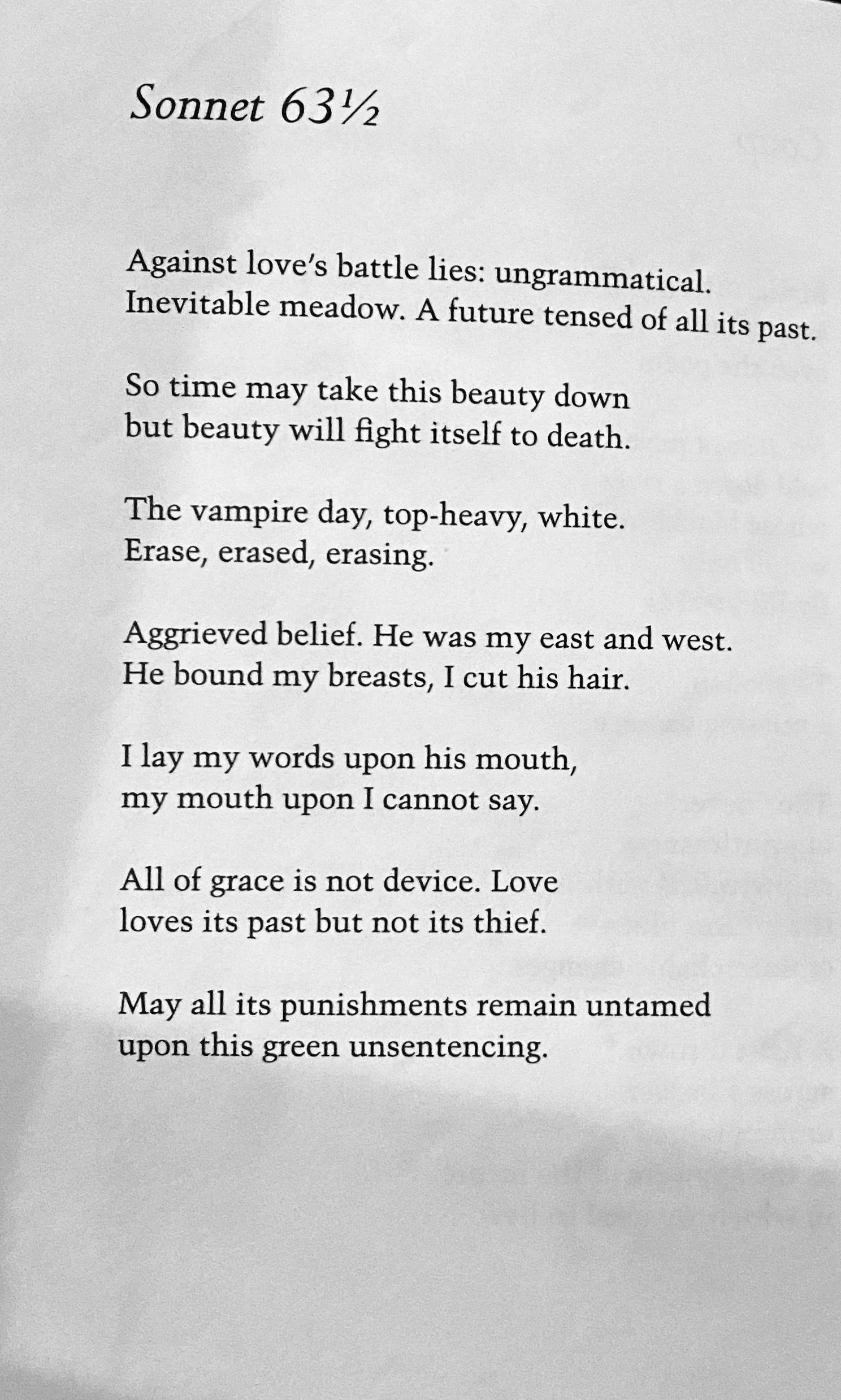 "I think therefore I green": The elliptical Elizabeth Willis. — alina Ştefănescu