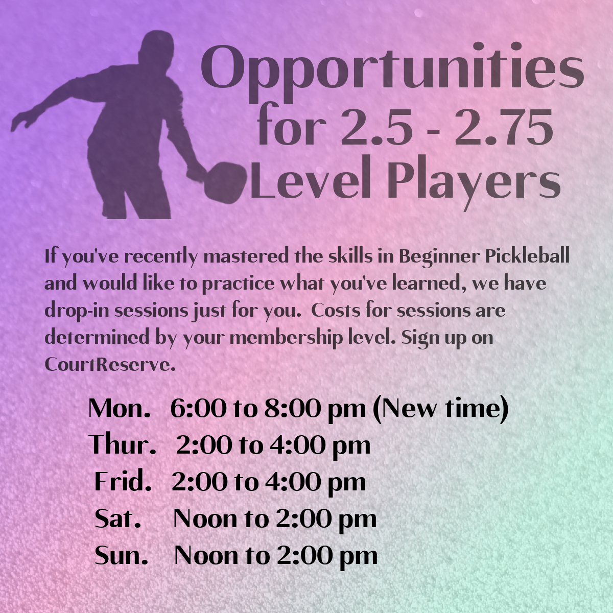 Beginner Classes — House of Pickleball