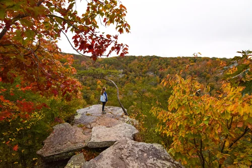 What's Fall Really Like in Chattanooga, Tennessee? — Experience Chattanooga