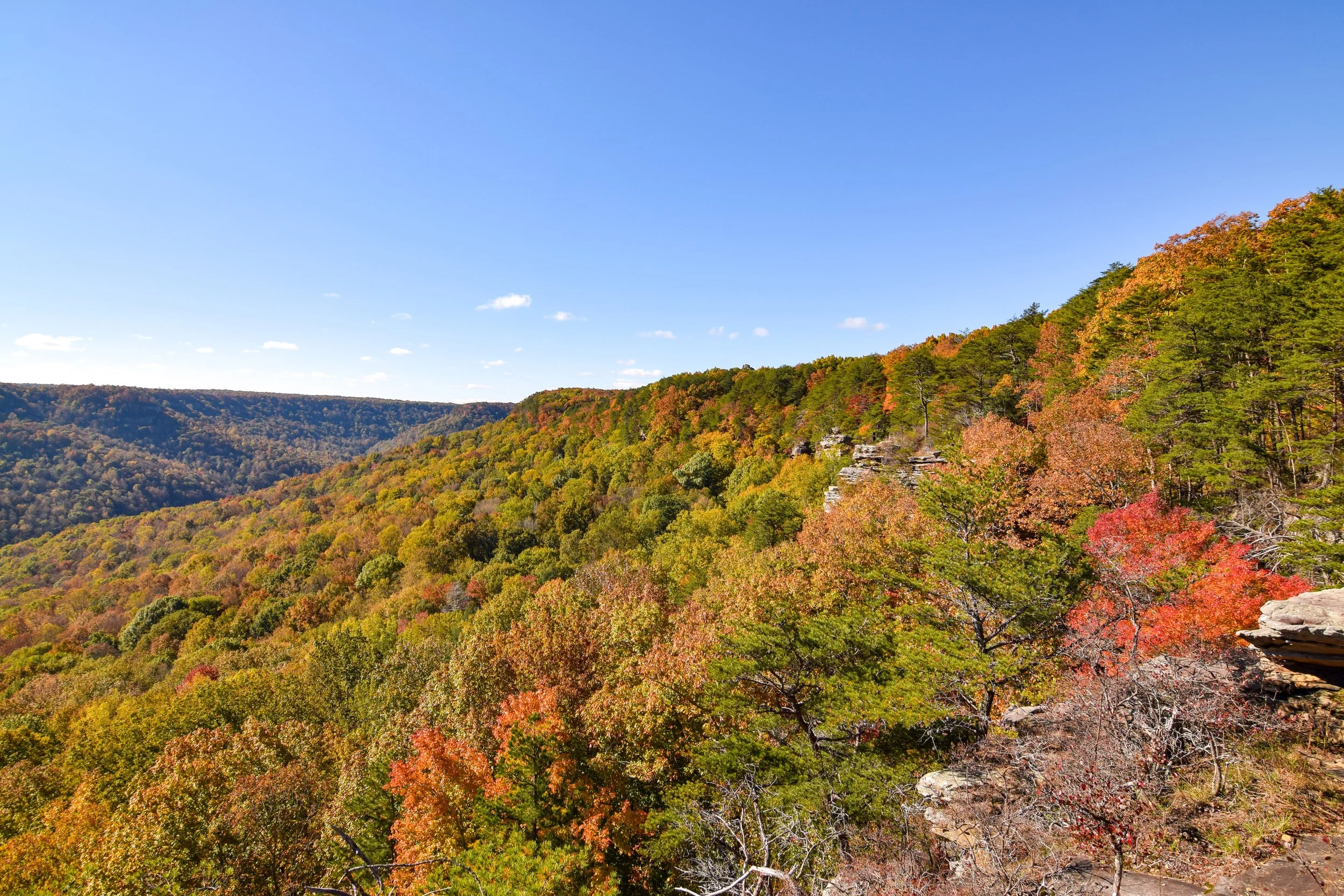 What's Fall Really Like in Chattanooga, Tennessee? — Experience Chattanooga