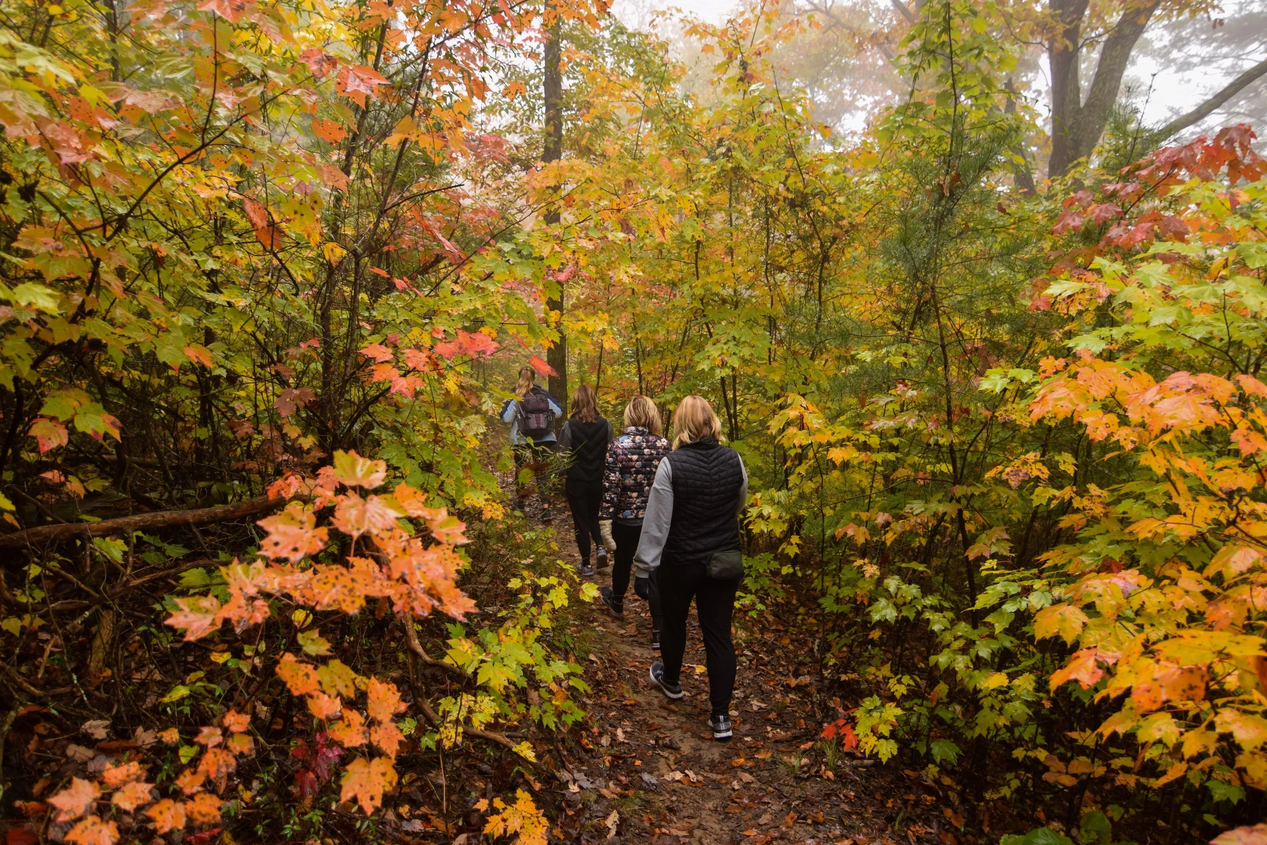 What's Fall Really Like in Chattanooga, Tennessee? — Experience Chattanooga