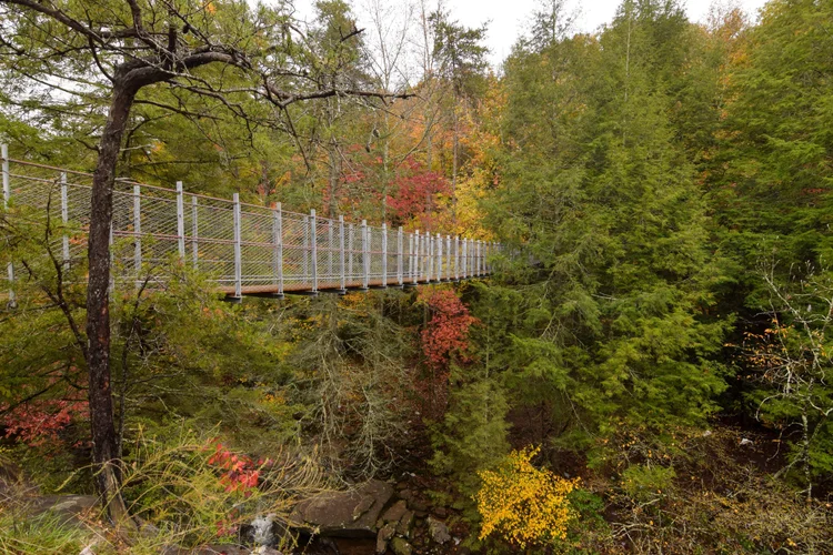 What's Fall Really Like in Chattanooga, Tennessee? — Experience Chattanooga