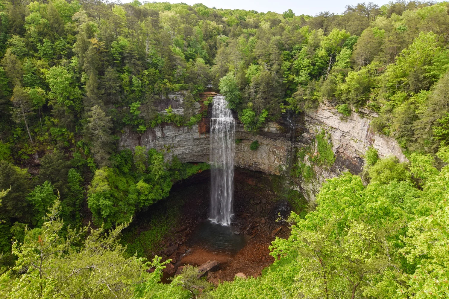 Book Your Experience | Chattanooga Hikes | Guided Hiking Tours In ...