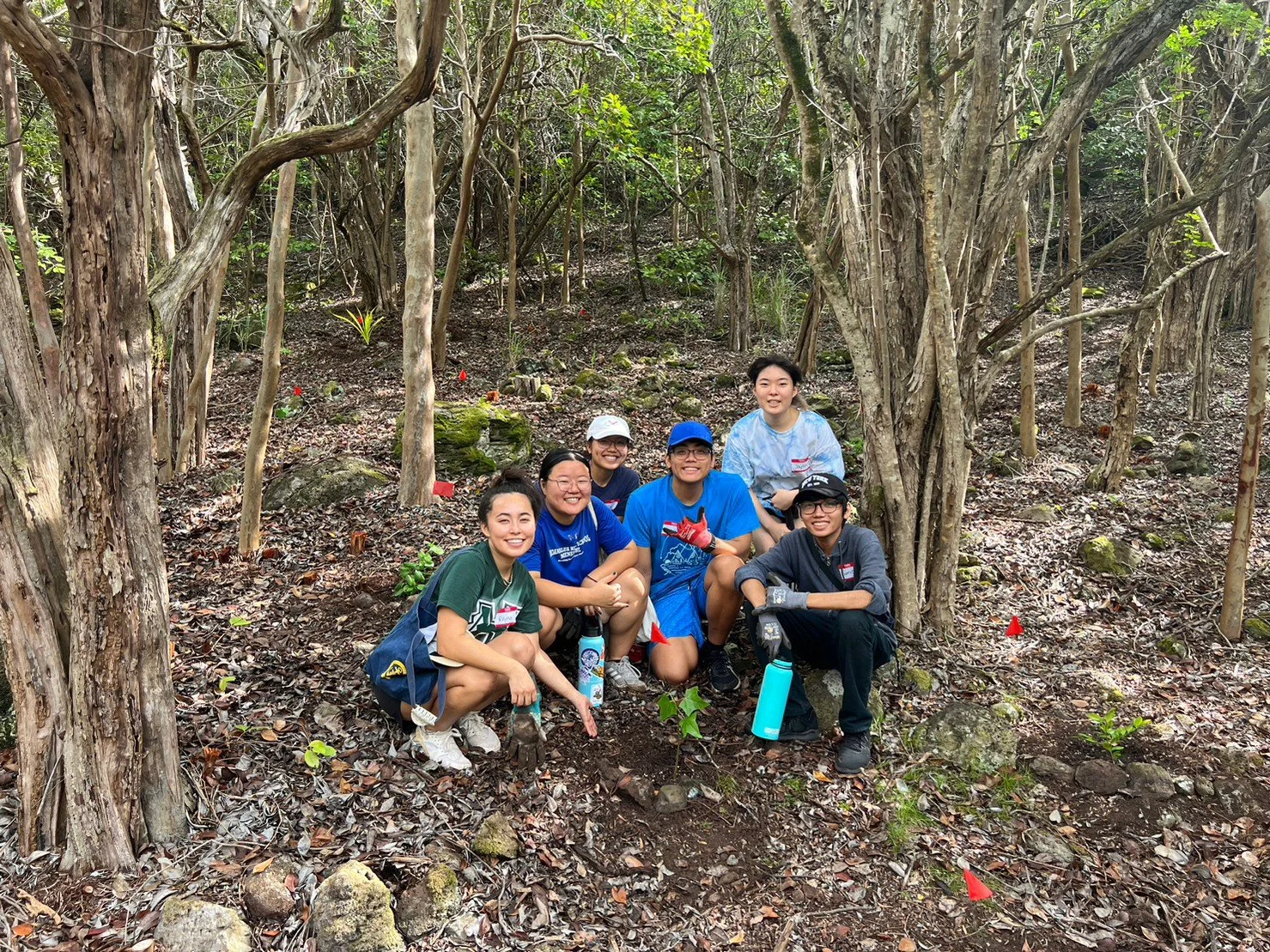 CARP Hawaii Joins the Kulio’ou Ridge Trail Restoration — Collegiate ...