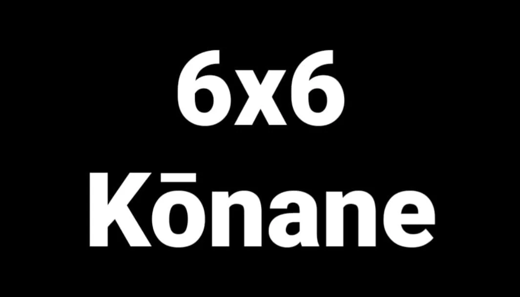 Hawaiian Kine Tings — AKAU BOARDS