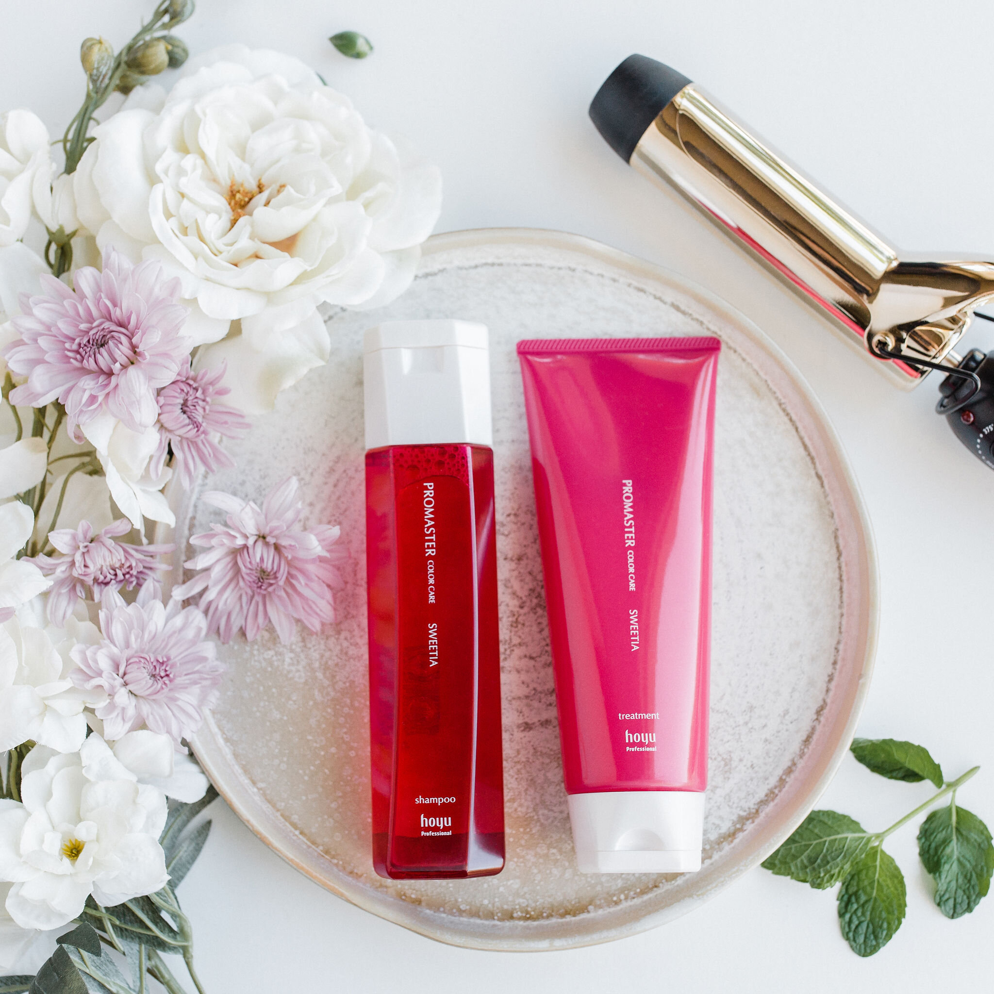 Promaster Color Care — Hoyu Professional USA