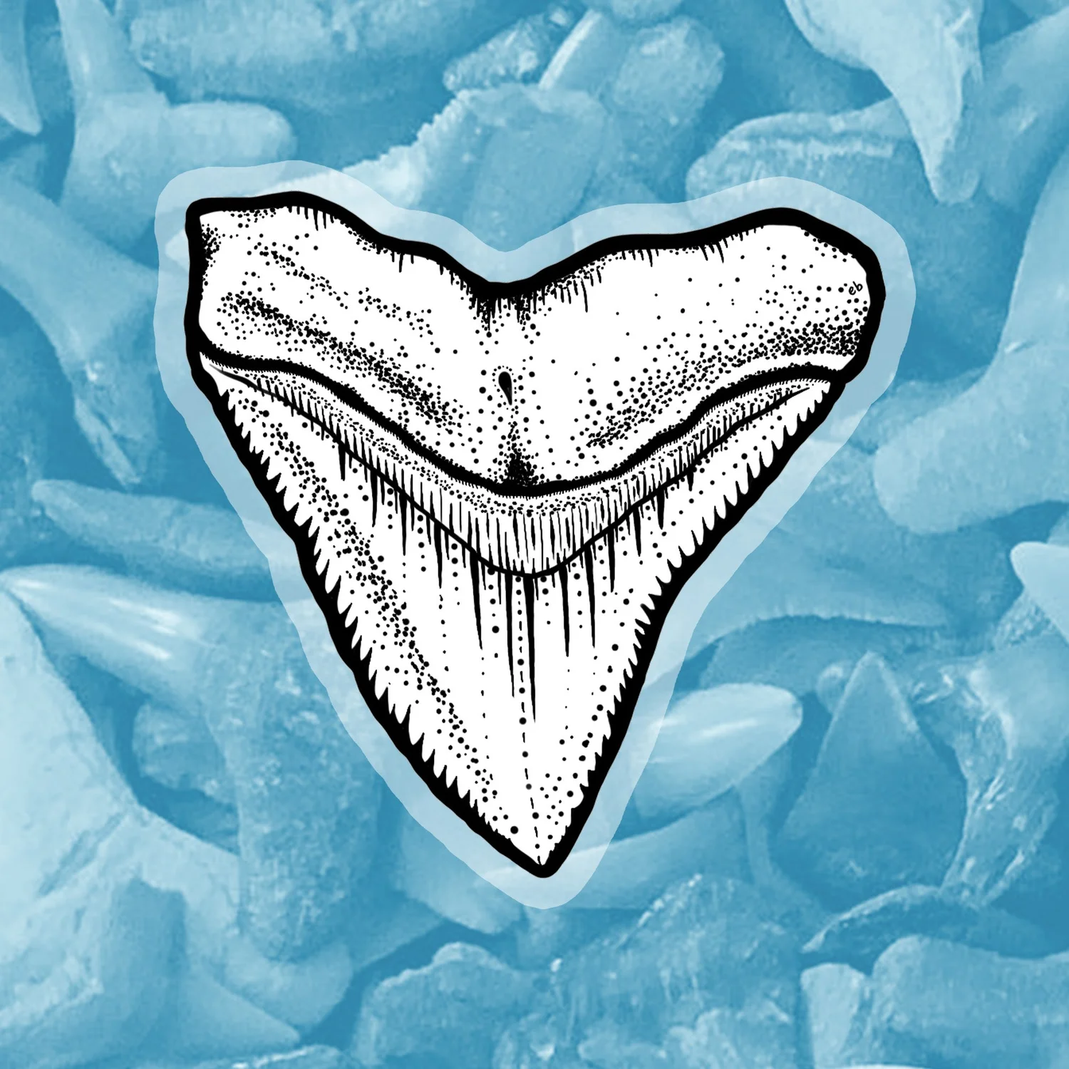 Shark Tooth Vector