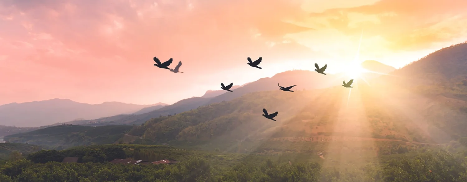 Pastoral Reflections Institute - Opening Hearts to Encounter God