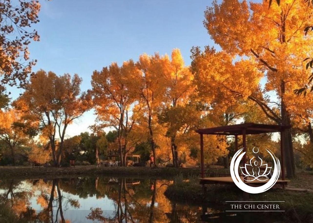 Pastoral Reflections Institute - Opening Hearts to Encounter God