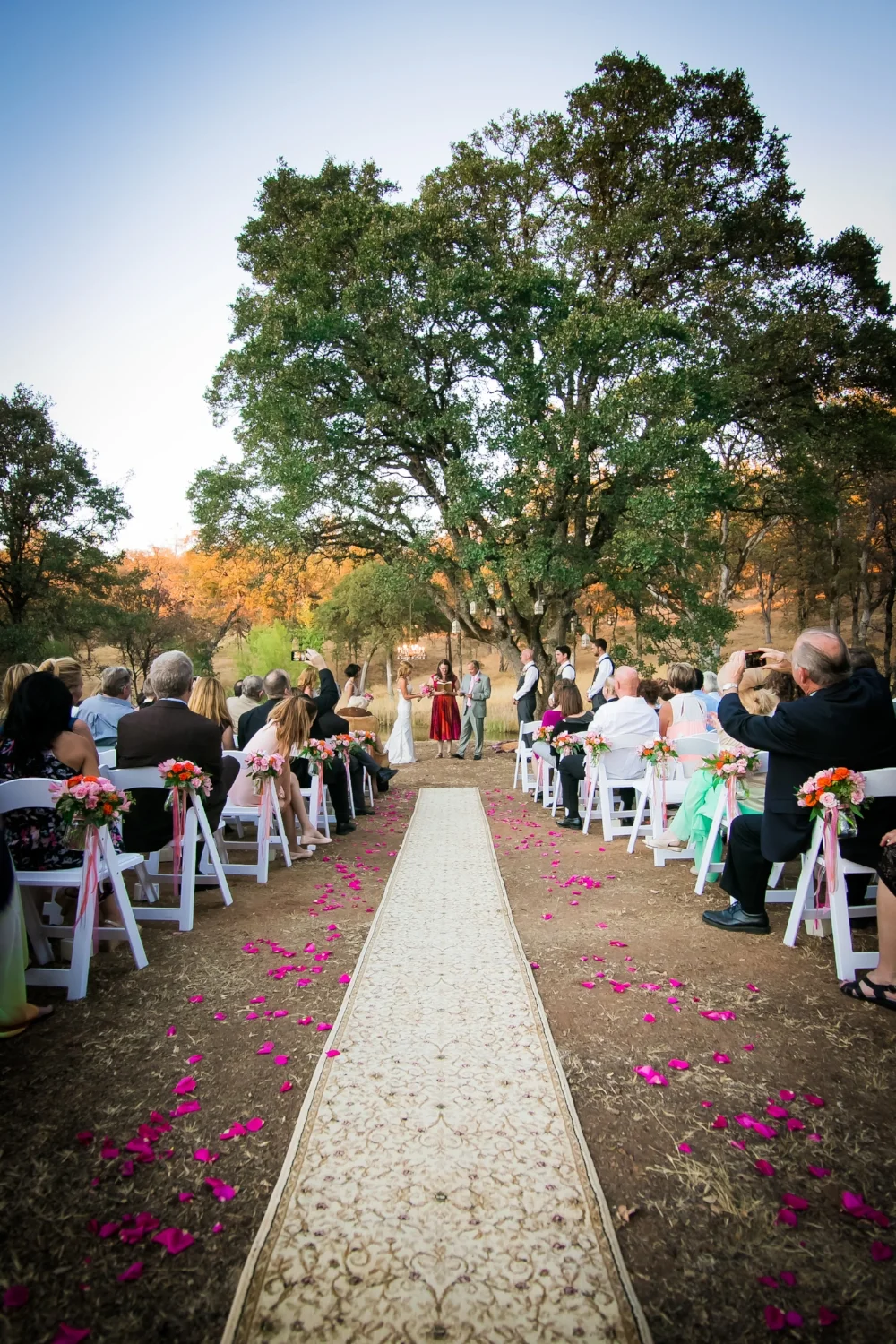 rustic. vibrant. — Dolce Floral Design