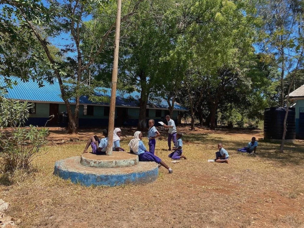 News blog — Kinondo Kwetu Trust Fund