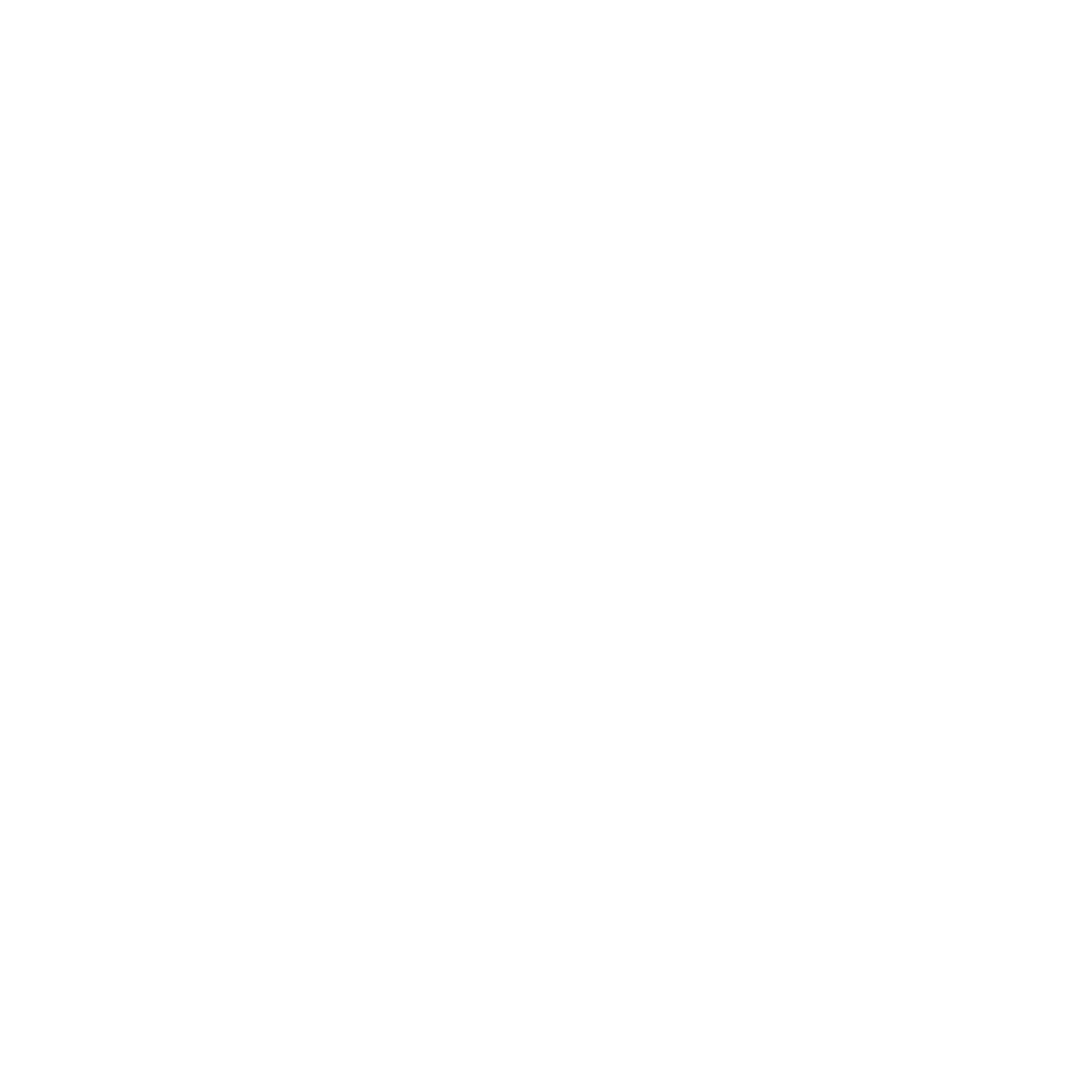 Stone Turtle | Authentic Whiskey Bar & Modern American Restaurant