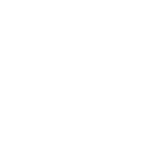 Stone Turtle | Authentic Whiskey Bar & Modern American Restaurant