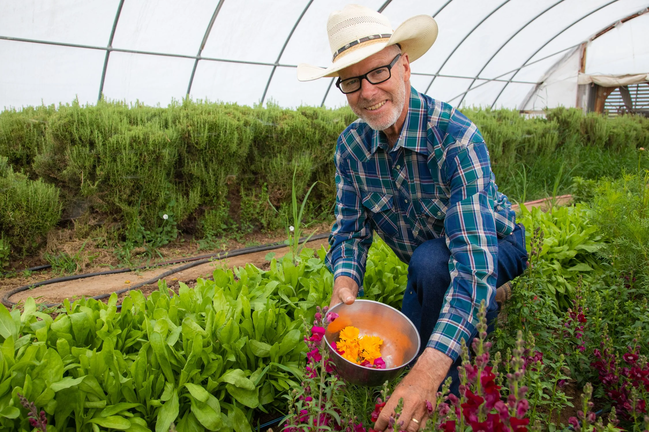 Blog & Events — Purple Sage Farms