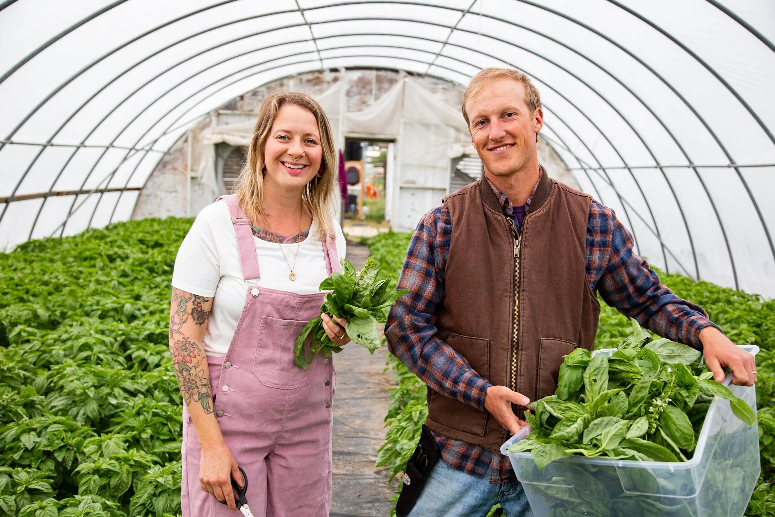 Purple Sage Farms
