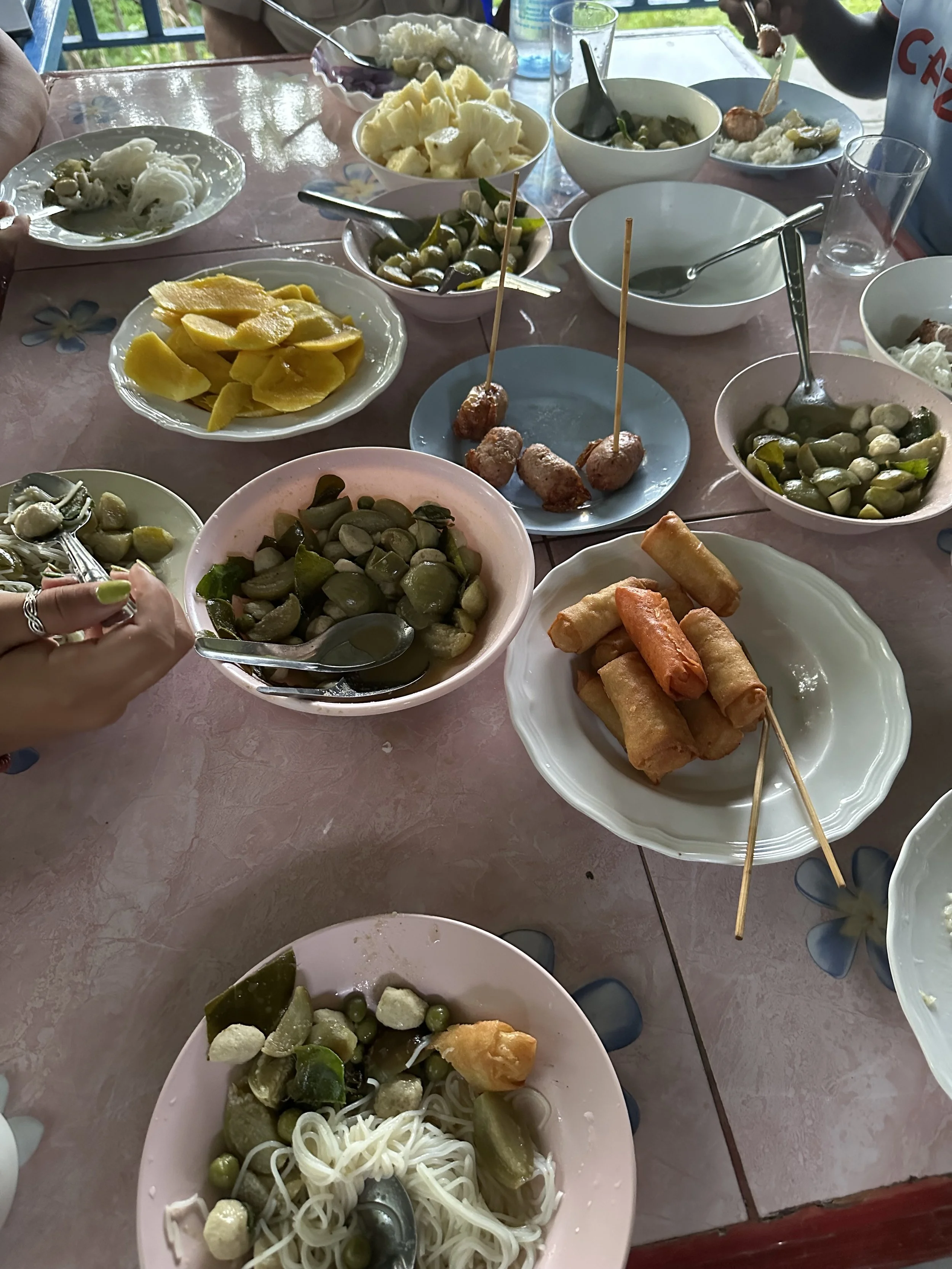 Blog Post: William & Mary Freeman Intern Fellow Rehanna Alami's Initial ...