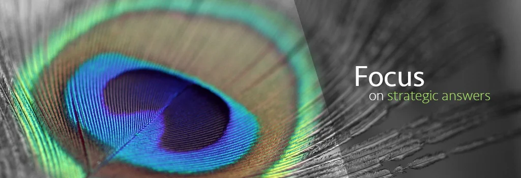 Brightleaf Consulting Group