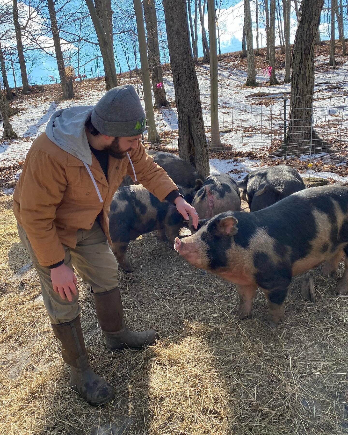 White Stag Farms | Sustainable & Regenerative Farming