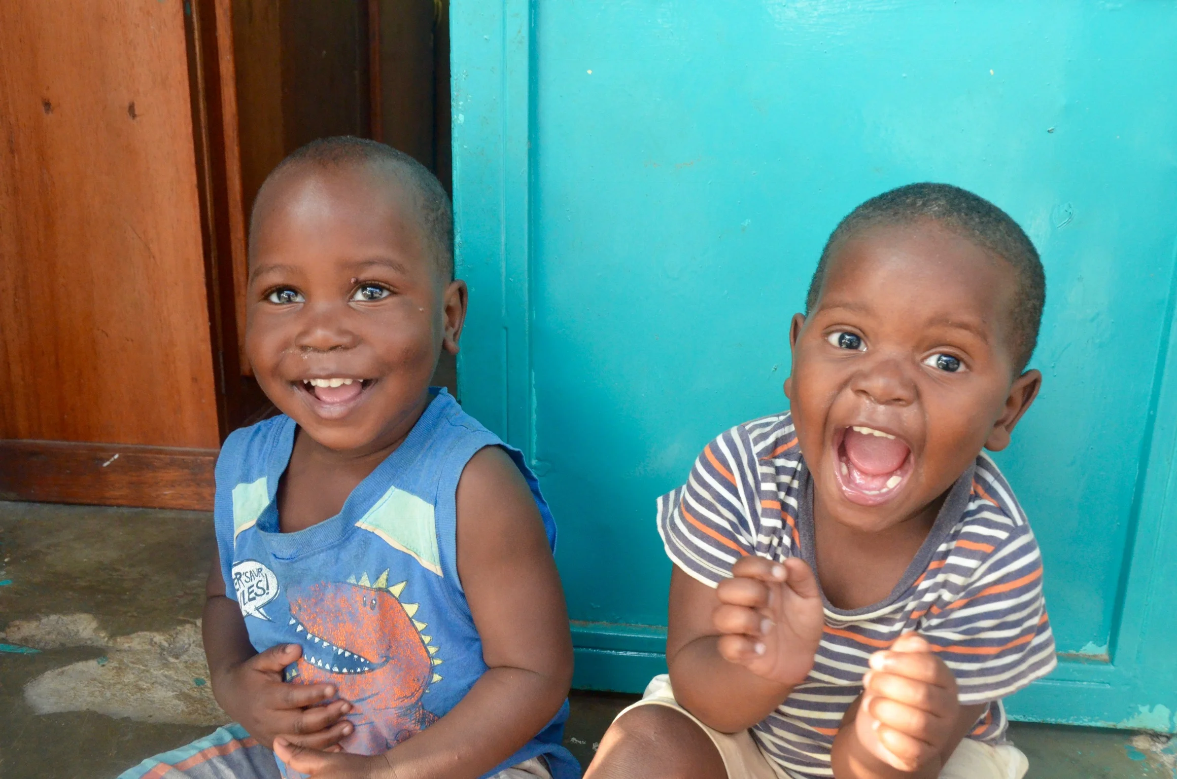 Partners — Okoa Refuge