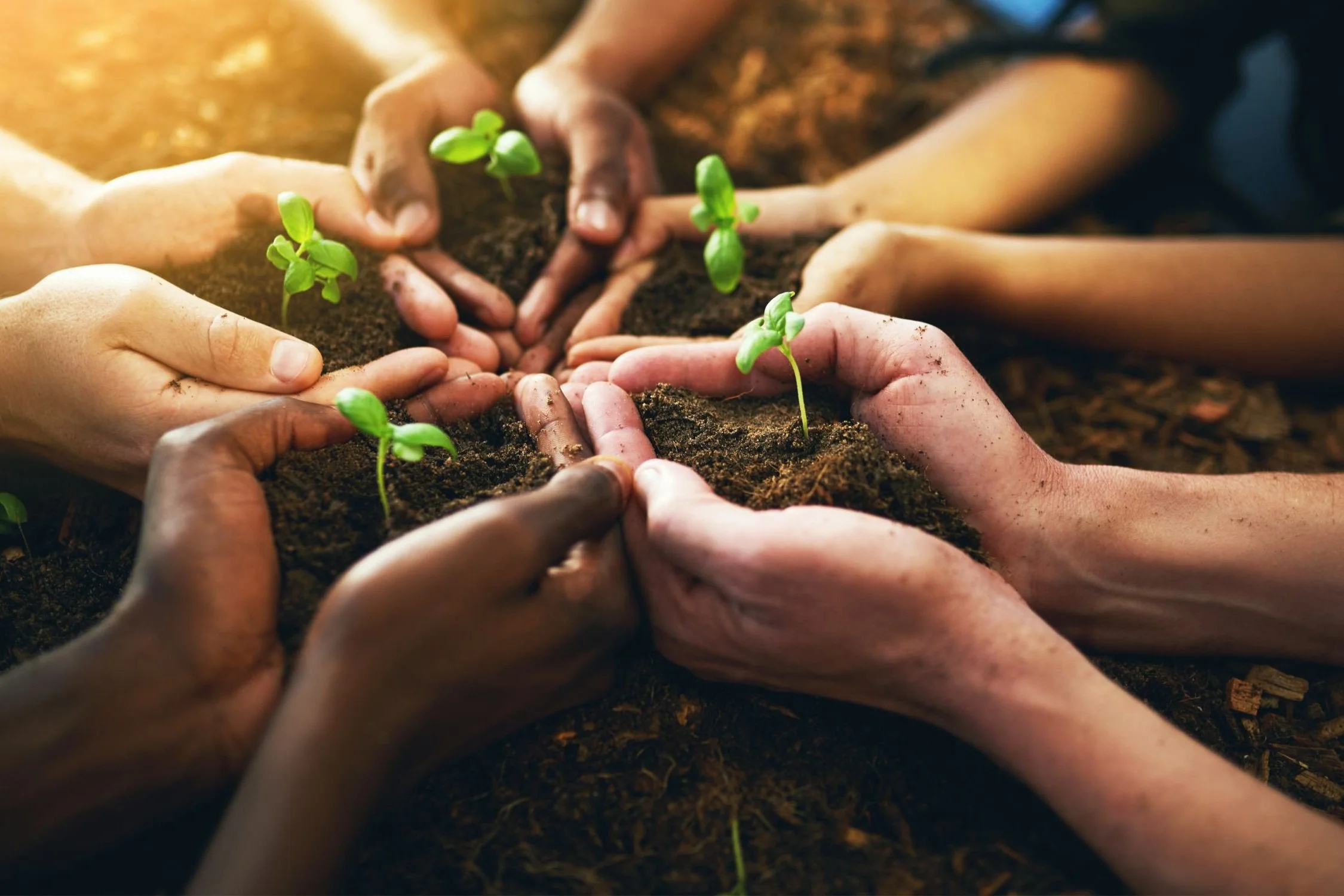 Books for HSP Adults & Kids・Julie Bjelland・HSP Education/Resources