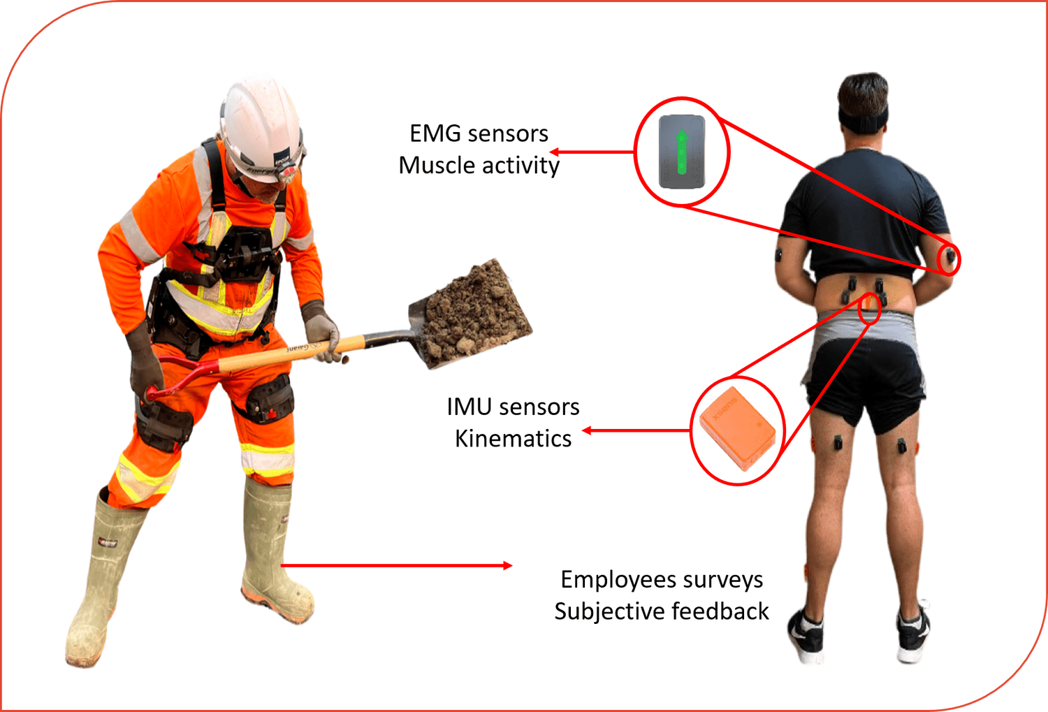 Research Project — NCBL