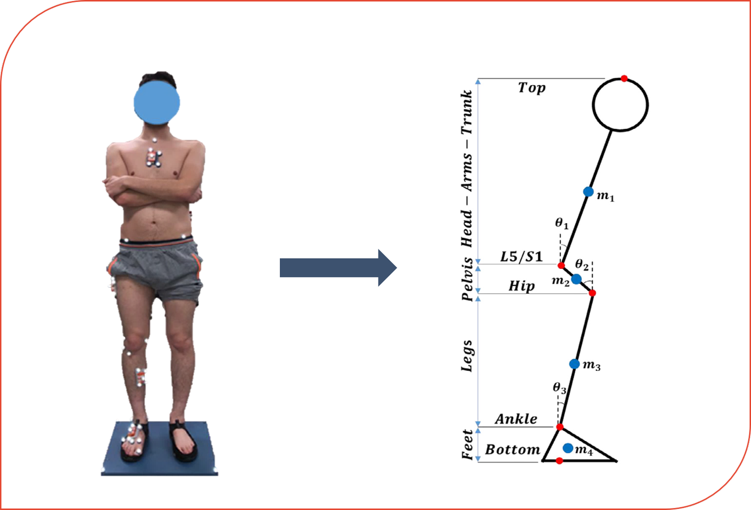 Research Projects — NCBL