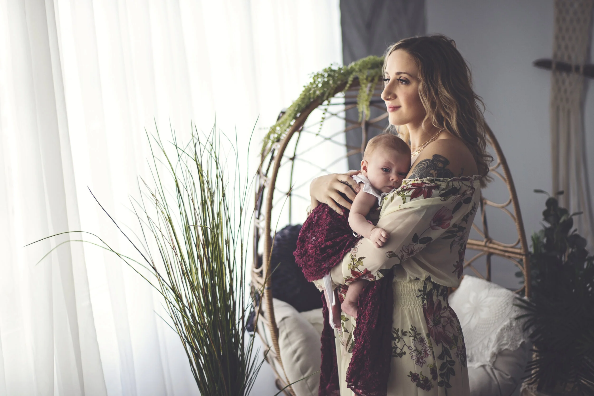 Ladybird Photography