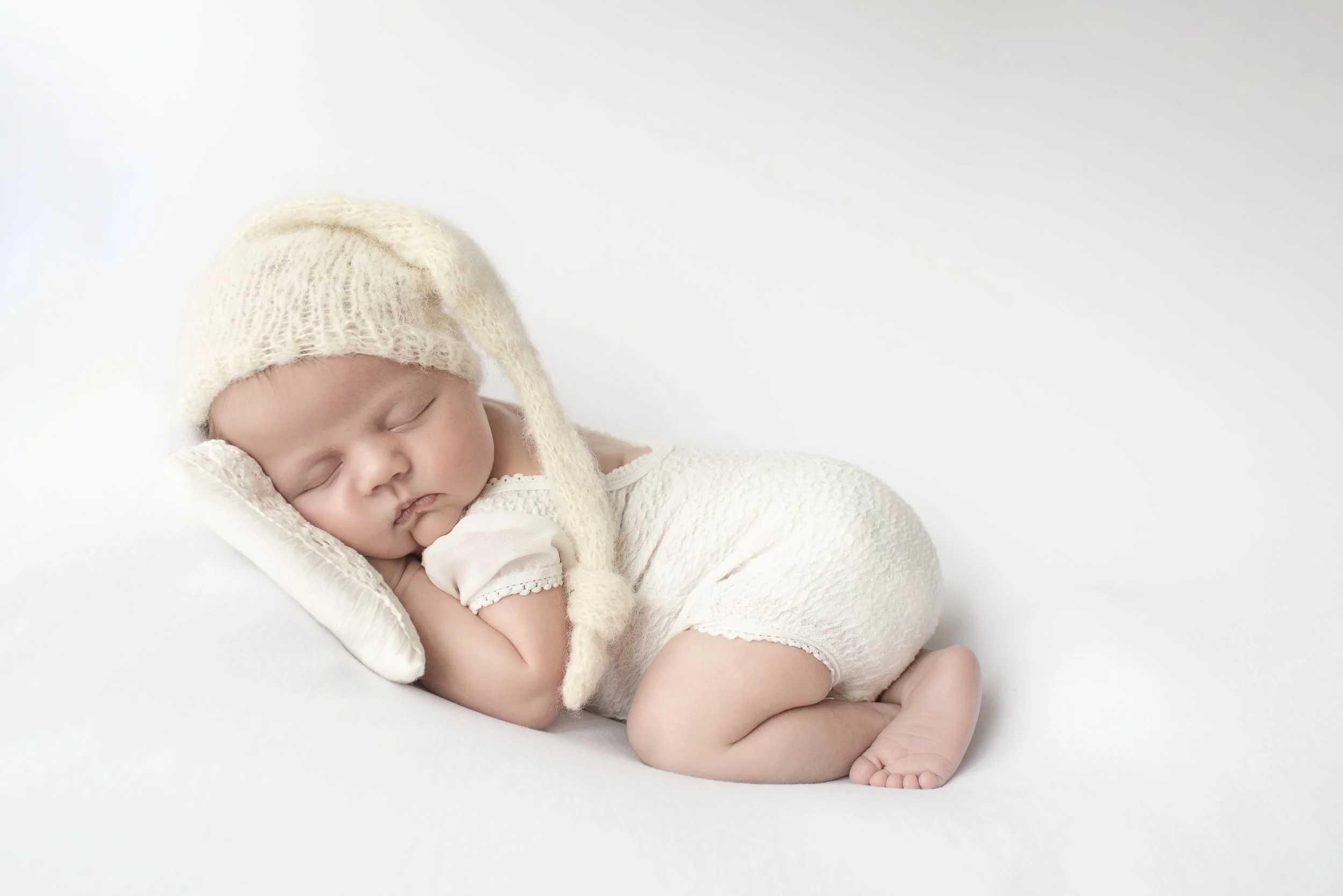 Ladybird Photography