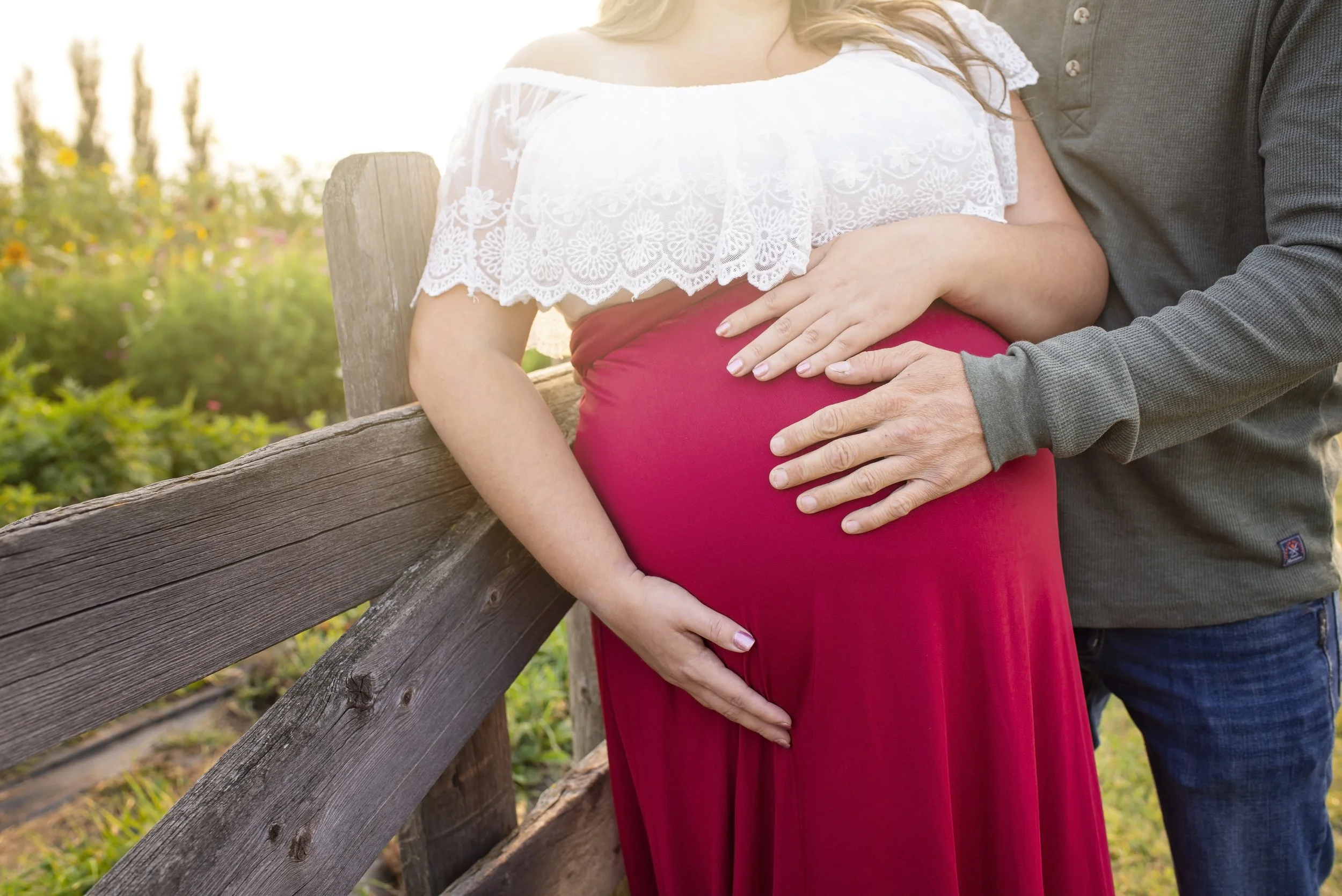 Ladybird Photography