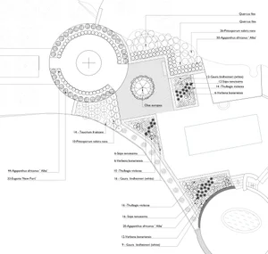 Design Process & Fees — Contemporanium - Garden Design in Mallorca